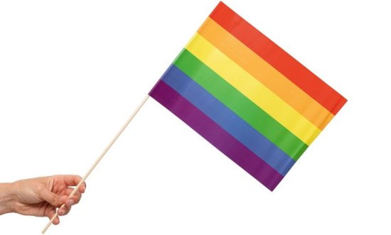 Osta Lesbo Pride Lippu Netistä - Nopea Toimitus: 2-3 Päivää | Temashop.fi